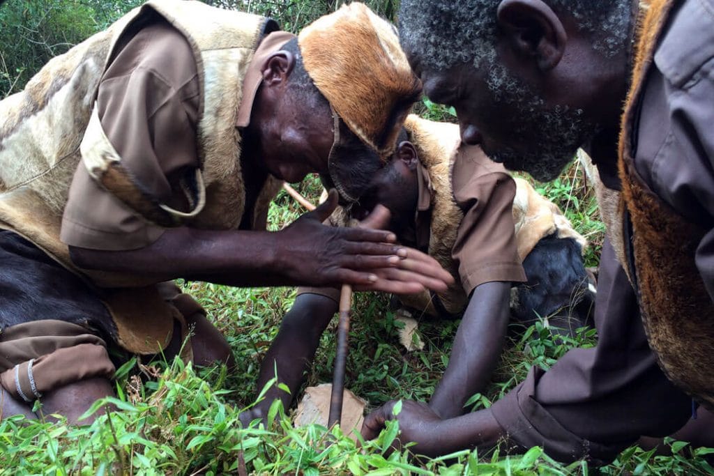 Batwa Cultural Experience in Bwindi National Park